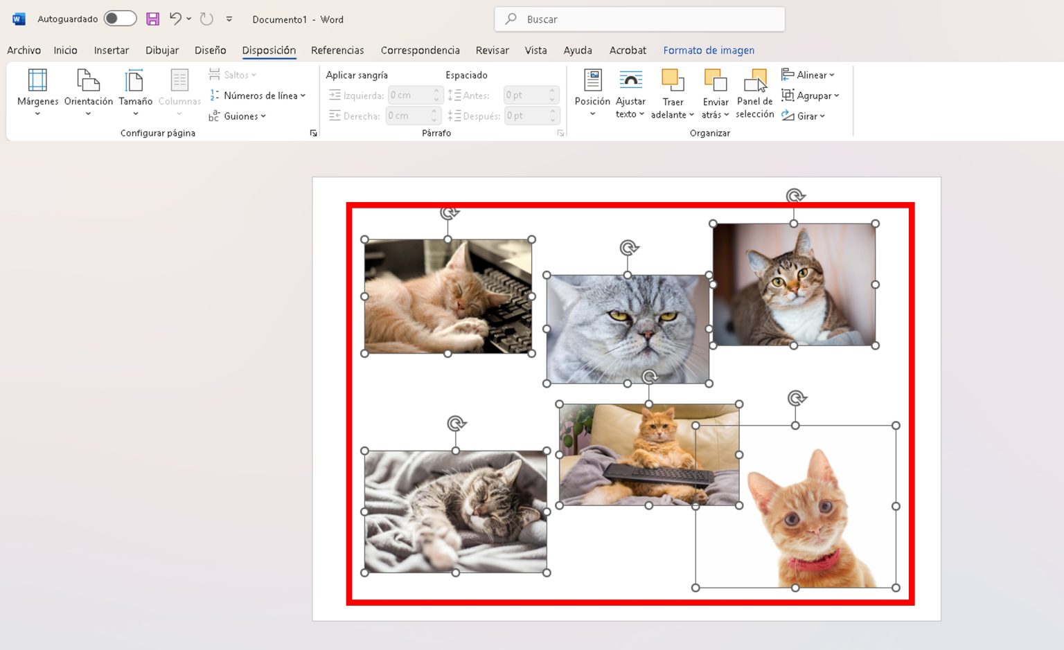 Cómo Poner Todas Las Imágenes Del Mismo Tamaño En Word Con Un Clic