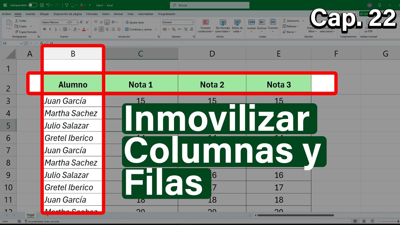 Cómo Inmovilizar Columnas y Filas en Excel al Mismo Tiempo 🔒