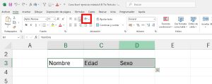 Combinar y Centrar celdas en Excel: ancho de columnas y alto de filas