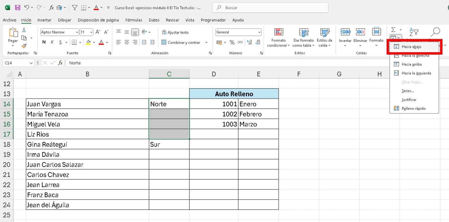 Relleno rápido, relleno inteligente y autorelleno en excel