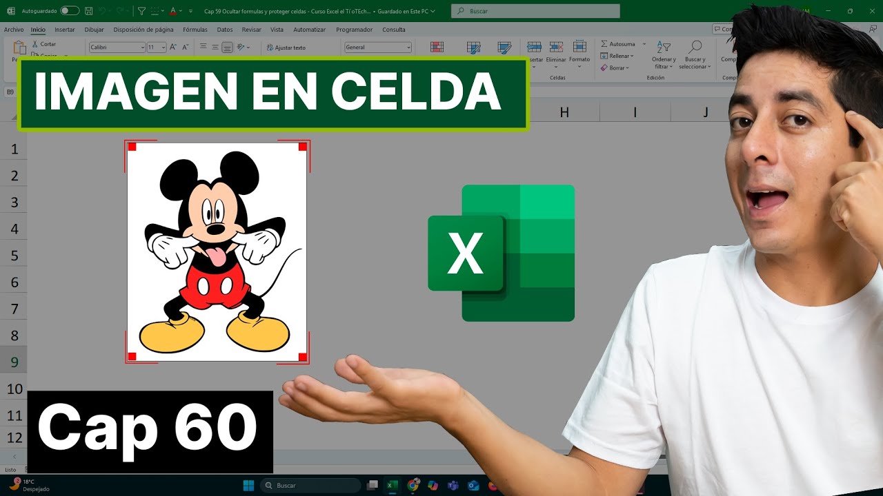 Insertar una imagen desde Internet o PC en Excel