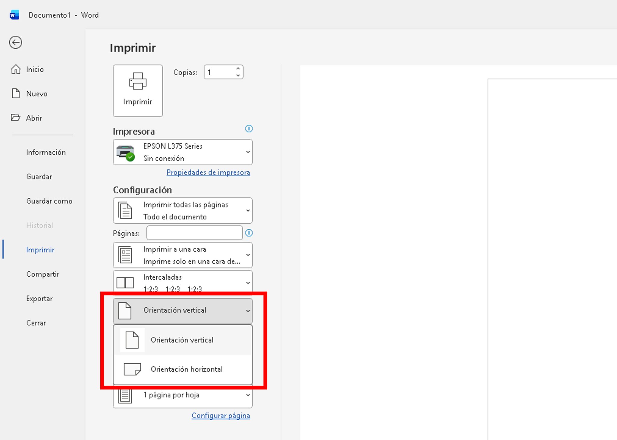 Capítulo 19: Como imprimir en Microsoft Word